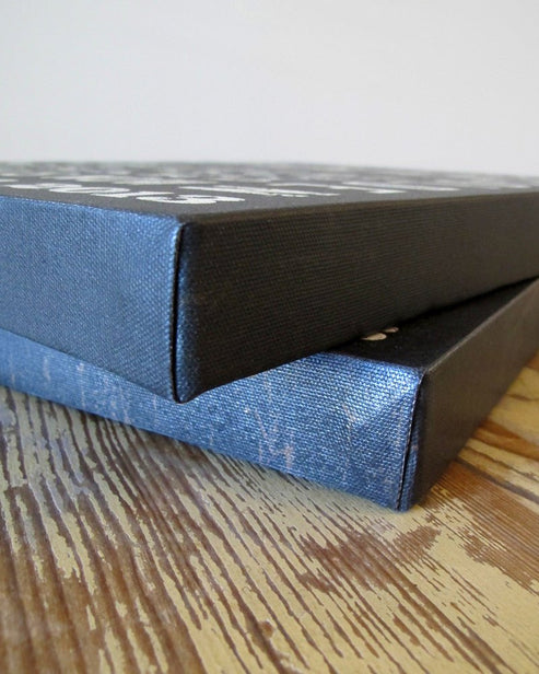 St. Louis City Art, St. Louis Neighborhoods Poster by Transit Design.